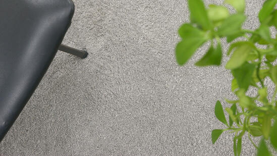 Dolce Vita – a luxury carpet for living rooms, thick and fluffy ...