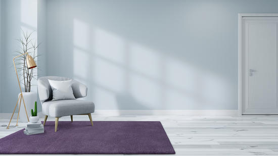 Dolce Vita – a luxury carpet for living rooms, thick and fluffy ...